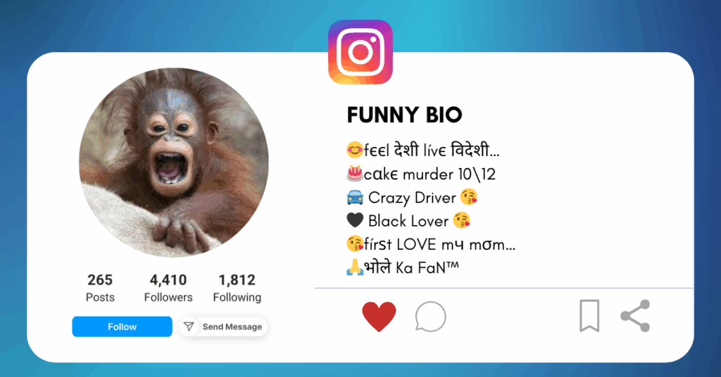 350+ Best Funny Instagram Bio for Boys & Girls